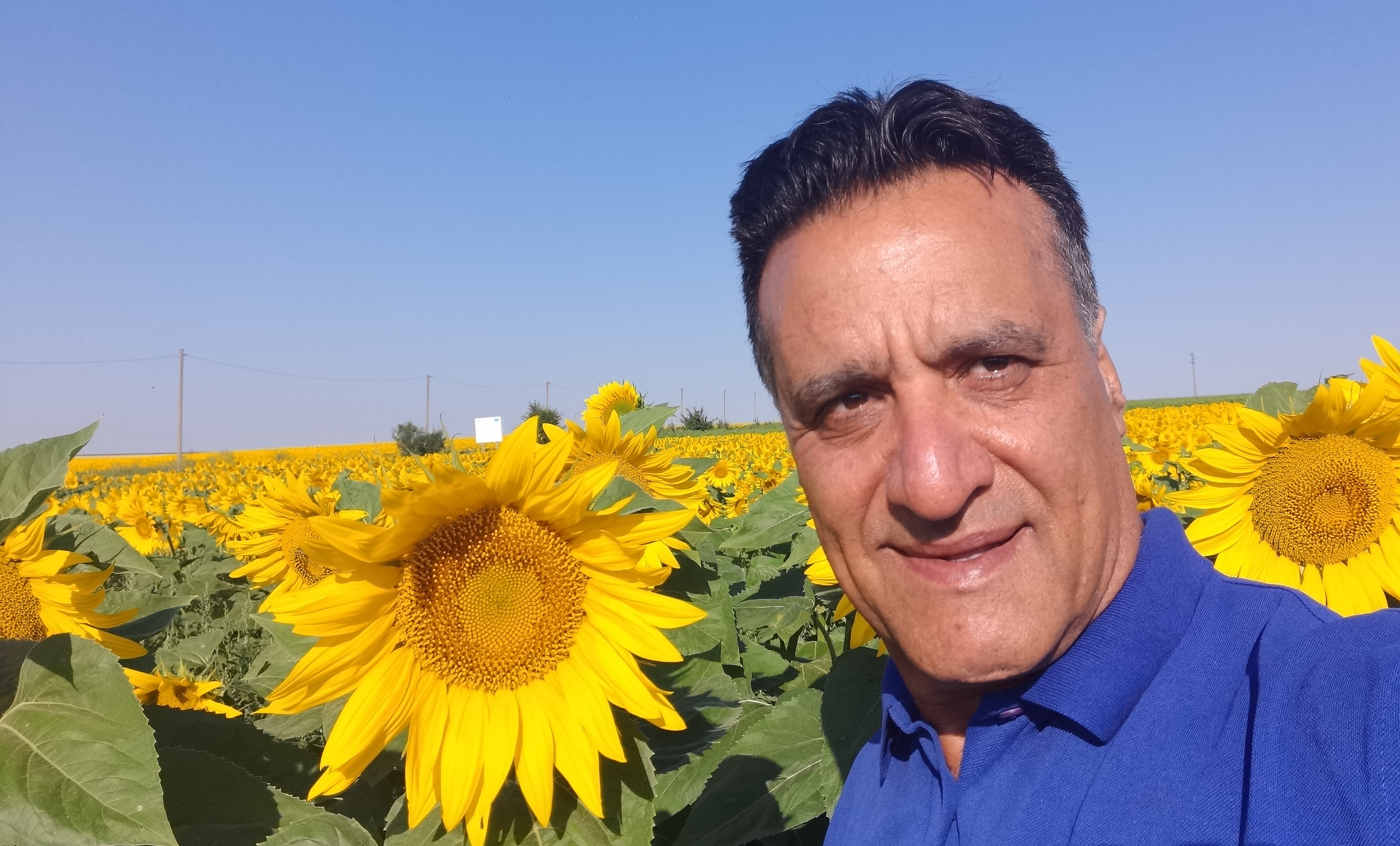 Home [www.vaziri.com]